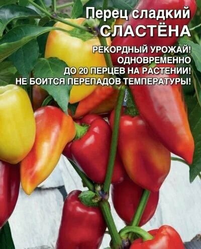 Коллекционные семена перца сладкого Сластена