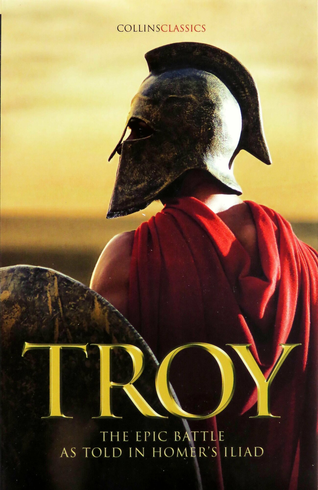 Troy: The epic battle as told in Homer's Iliad