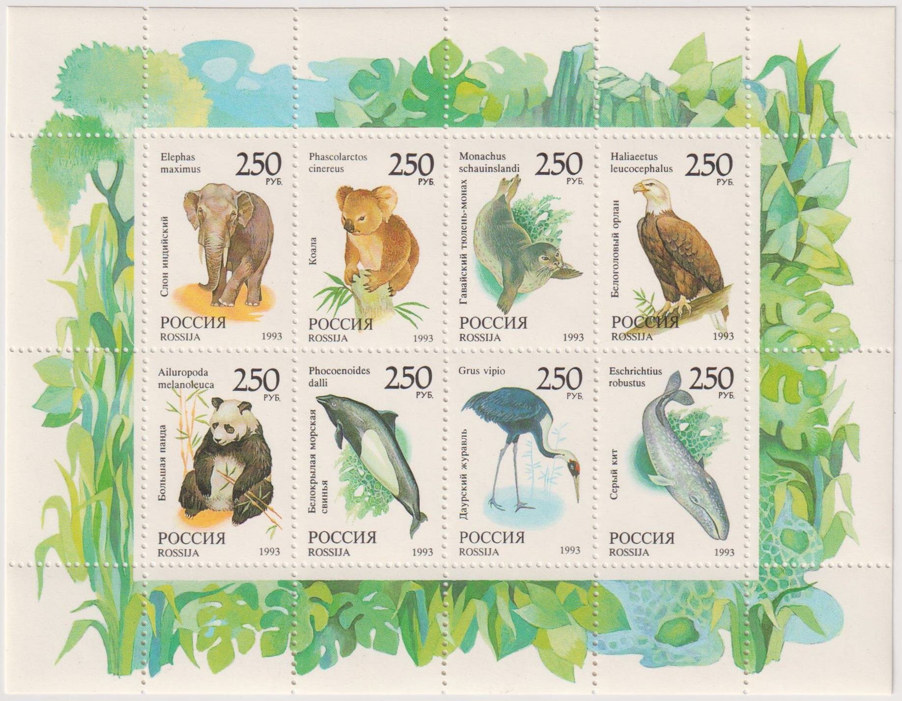 Почтовые марки Россия 1993г. "Фауна мира" Птицы, Фауна, Медведи MNH
