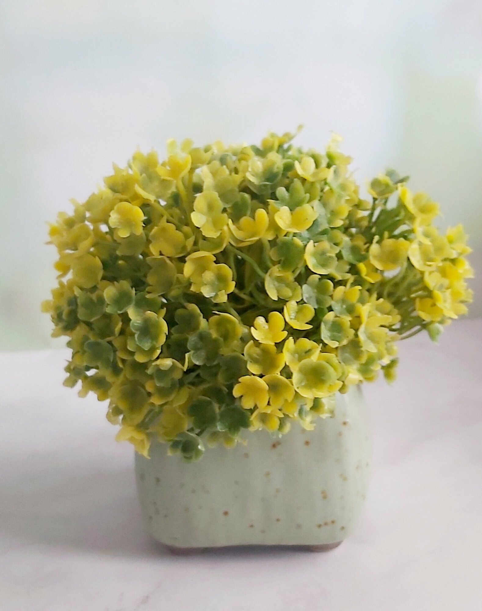 Авторская интерьерная композиция "Аделия" в керамическом горшке, 13см. желтая