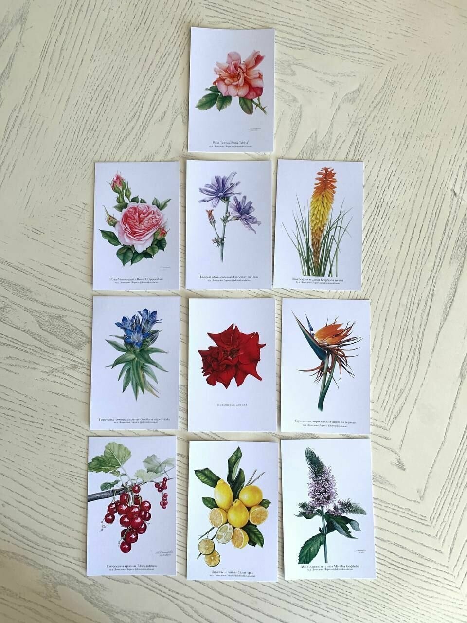 Комплект авторский открыток "лето" ботанического художника