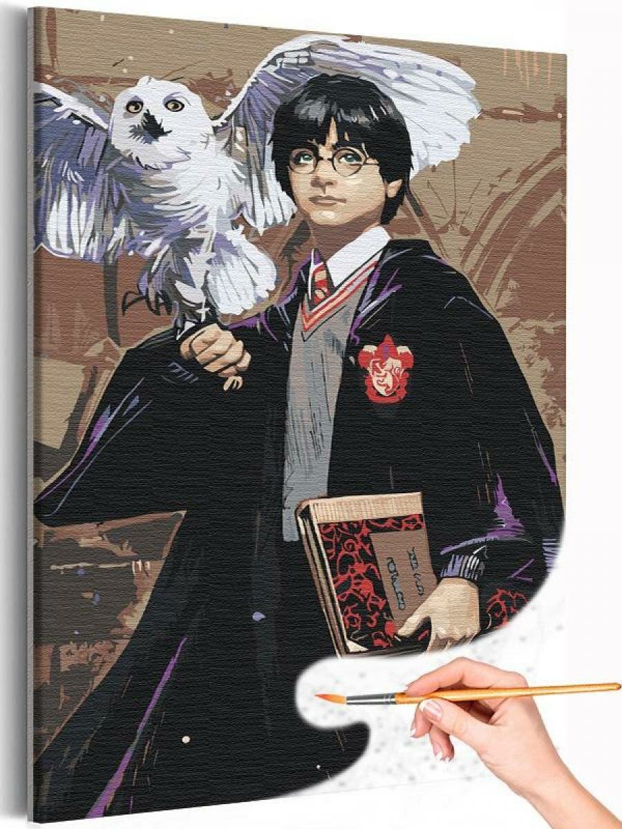 Гарри Поттер и сова (Harry Potter) Фильмы Хогвартс Фентези Раскраска картина по номерам на холсте 40х60