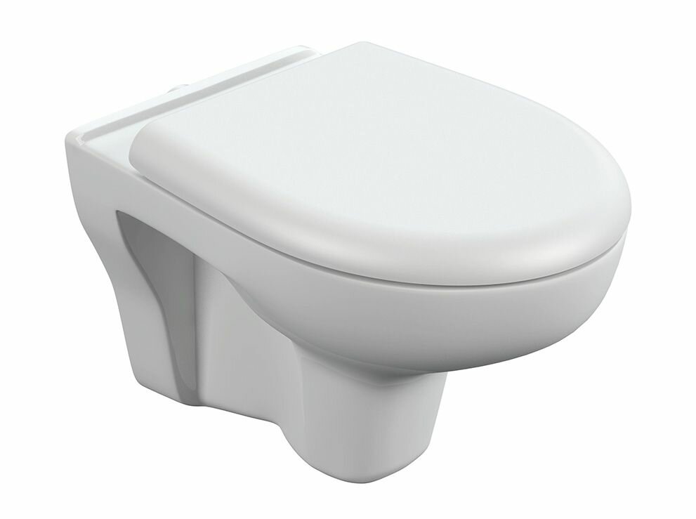 Унитаз подвесной: NATURE NEW CLEAN ON с кр. дюр. lift, easy-off, белый, Сорт1 S-MZ-NATURE-COn-DL-w