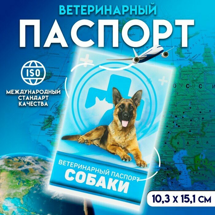Комплект аксессуаров