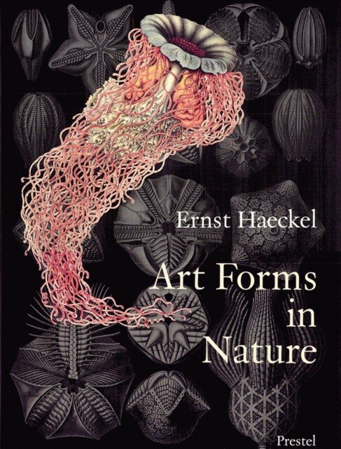 Art Forms in Nature (The Prints of Ernst Haeckel)