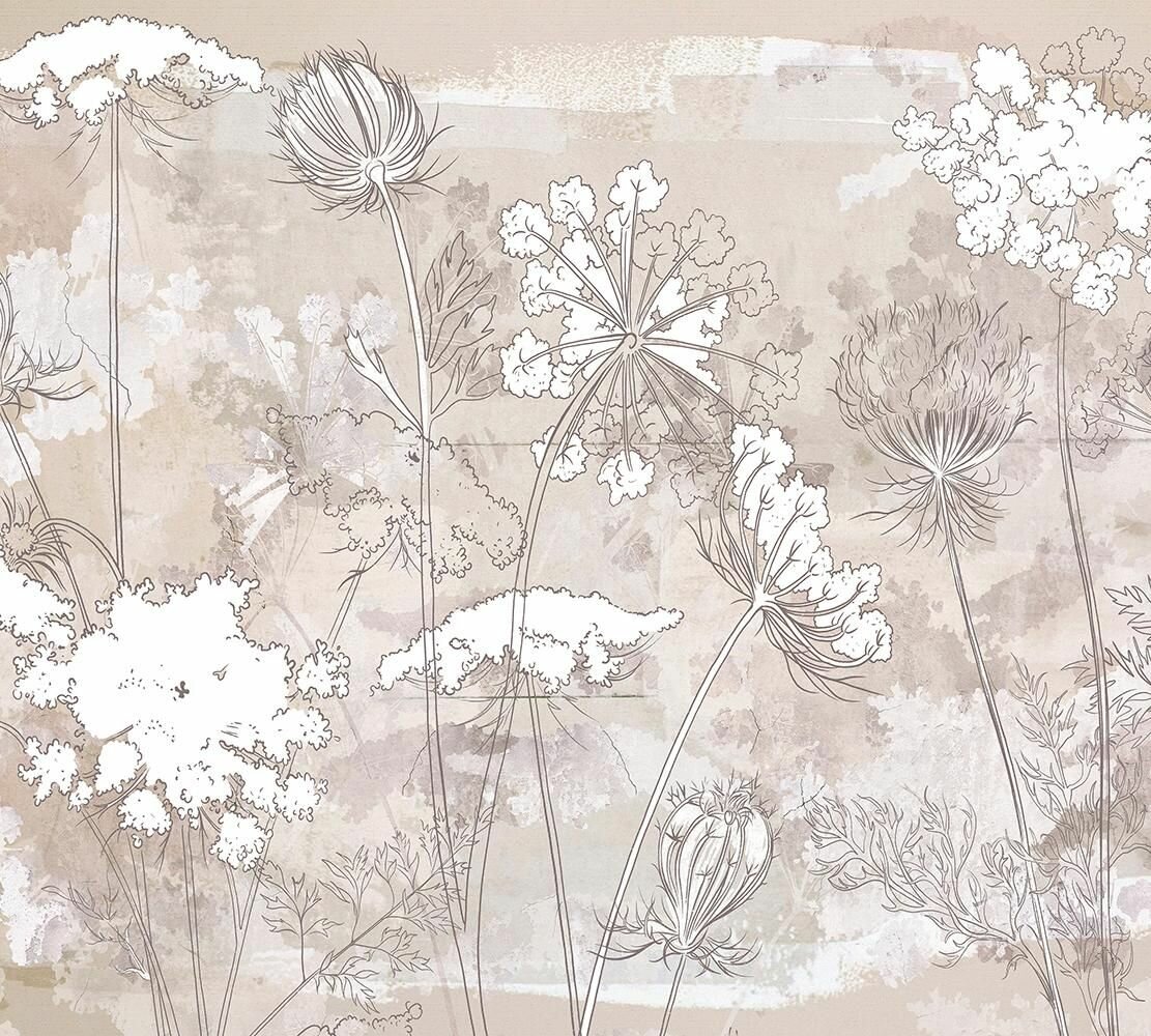 Фотообои Z-036 Одуванчики на бетонной стене беж 300х270 DIVINO