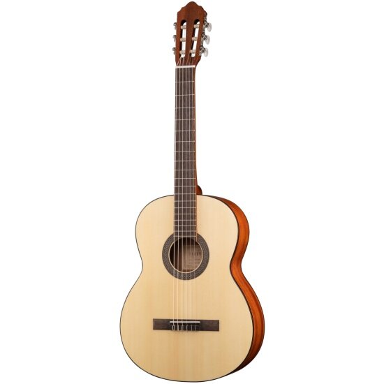 Классическая гитара Parkwood , натуральный, PC90-WBAG-OP
