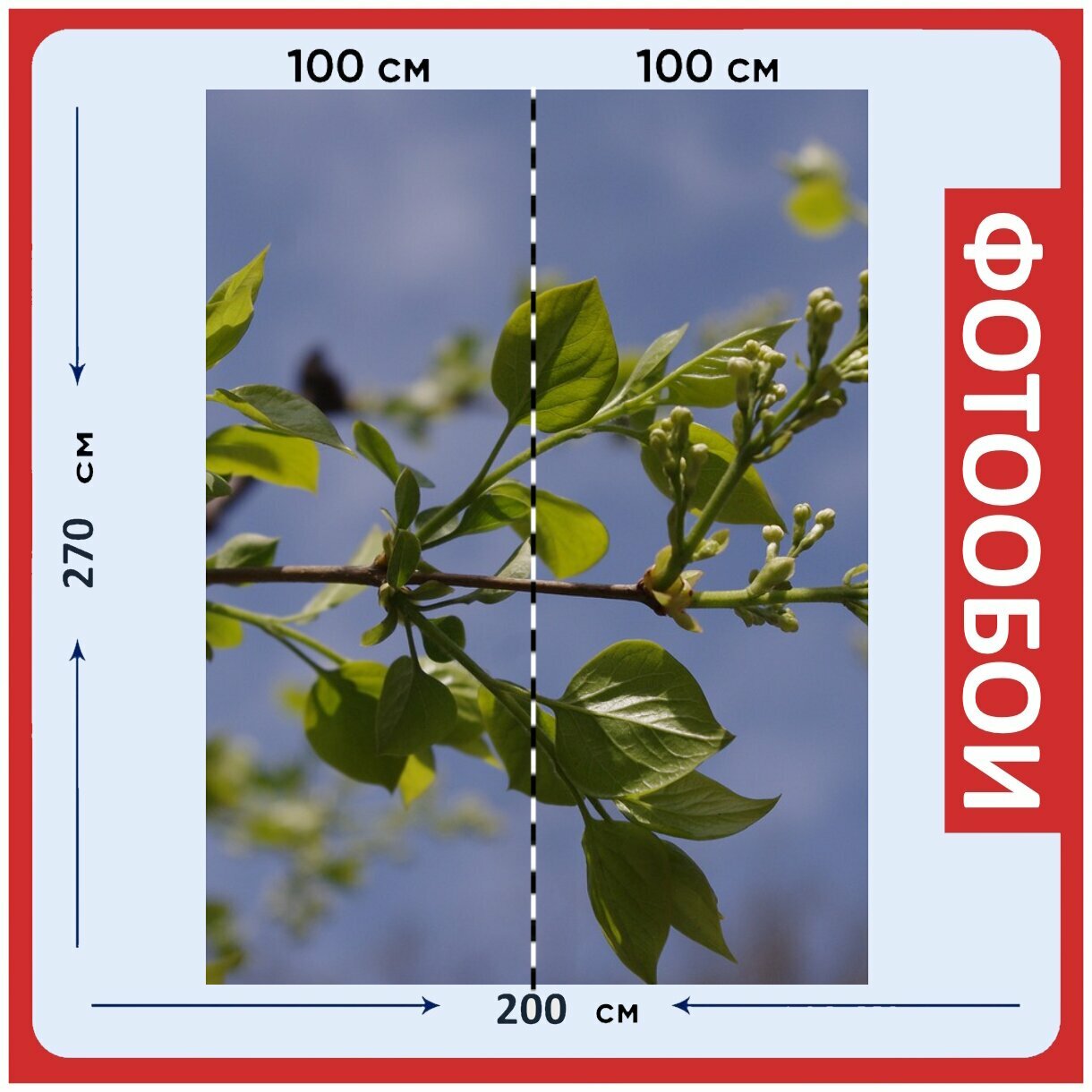 Фотообои "Зелень, листья, сирень" 200x270 см. флизелиновыена стену