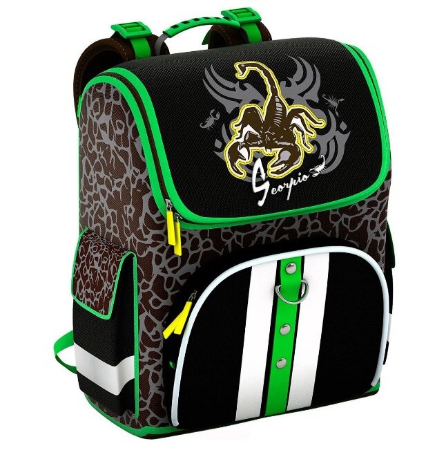 Ранец ErichKrause Скорпион облегченная модель, ортопедический, 36х27х18 см 17 литров черно зеленый