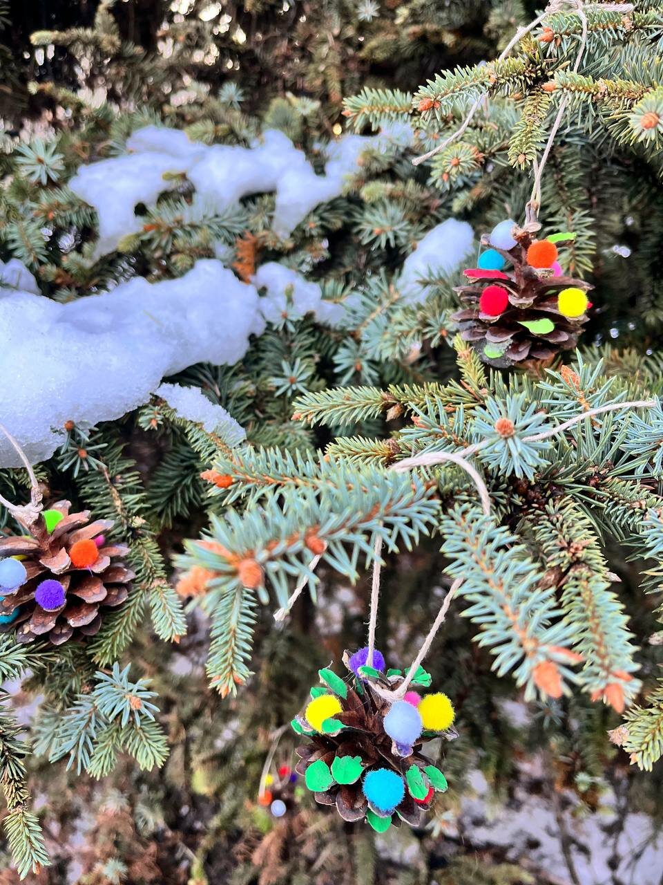 Набор елочных украшений из натуральных оригинальных шишек. Эксклюзивная ручная работа, 5 шт.