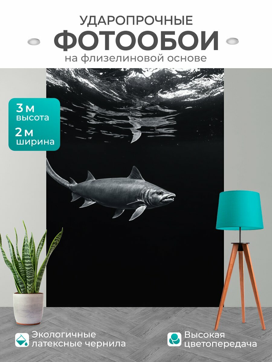 Фотообои моющиеся ударопрочные "23. черный" 200x300 см. флизелиновые на стену