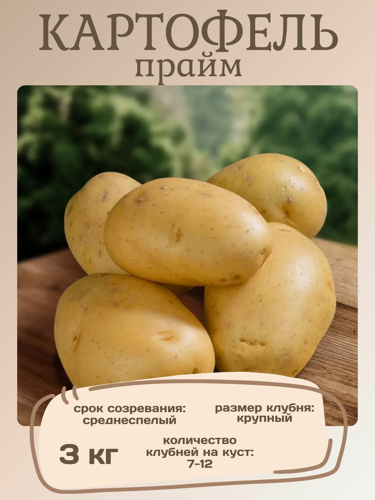 Семенной картофель 3 кг, на посадку
