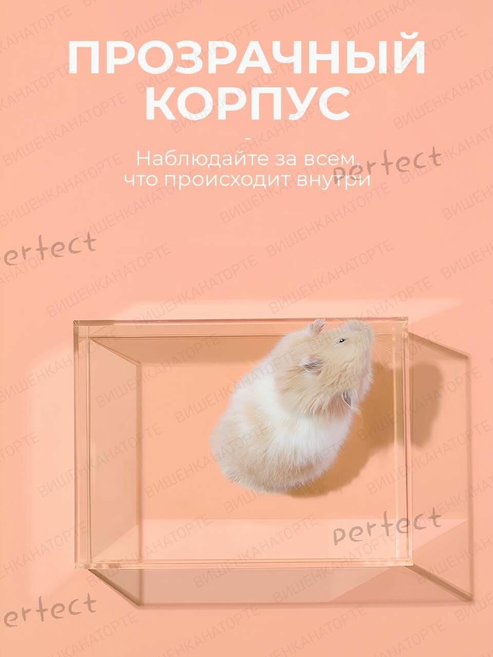 Ванночка для животных — фото 1
