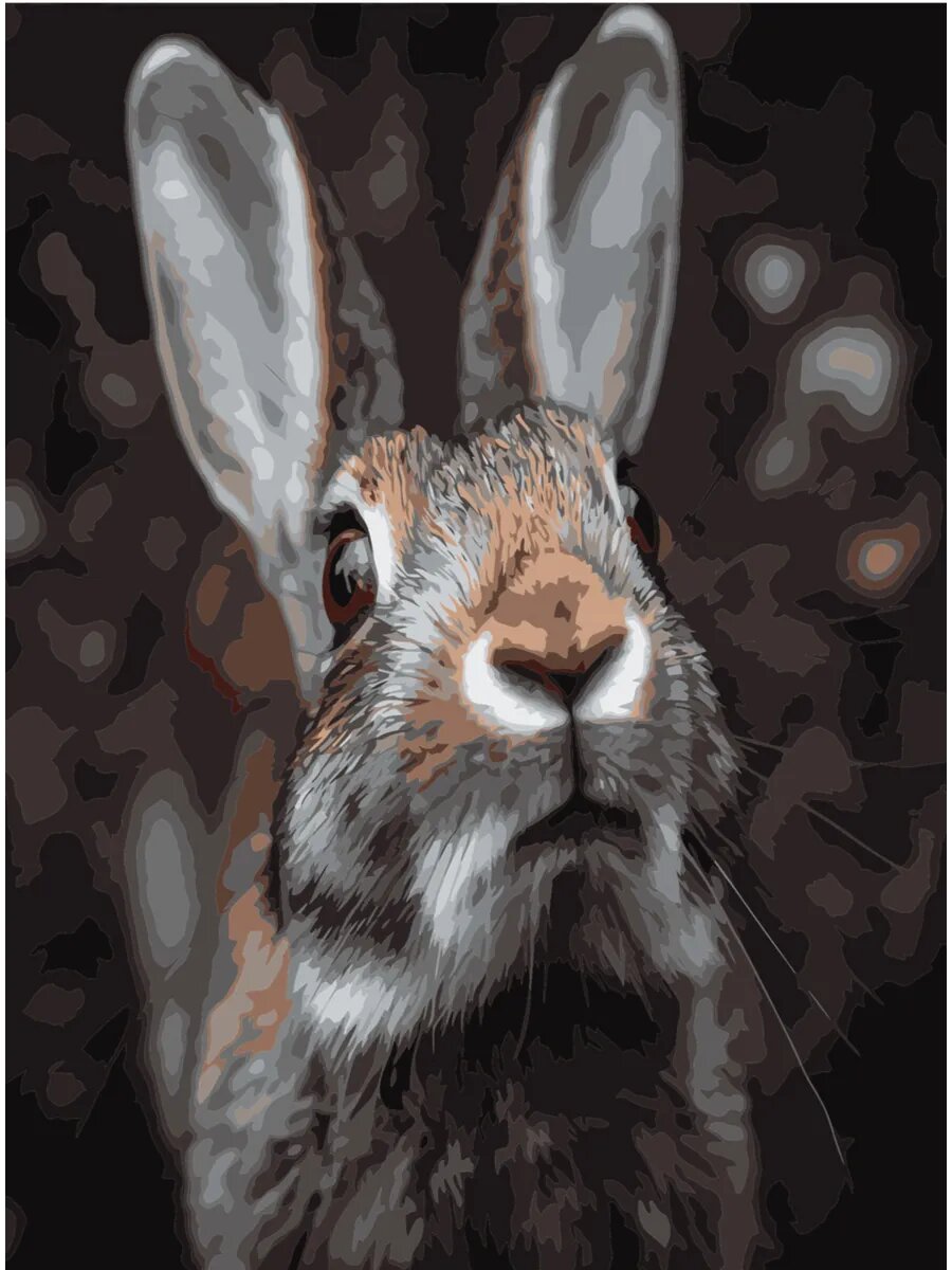 Картина по номерам заяц