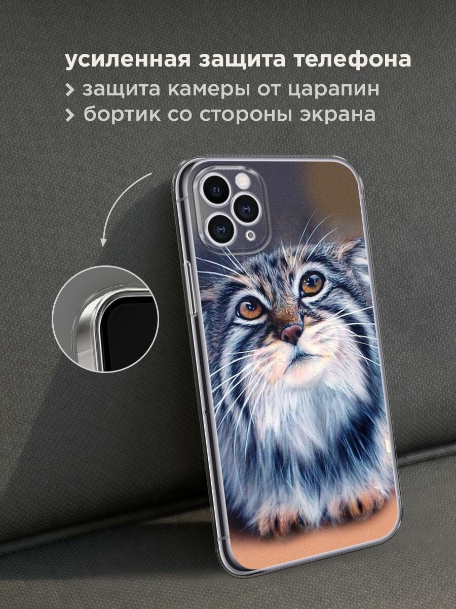 Чехол на Apple iPhone 11 Pro / Айфон 11 Про с принтом "Кот манул 2" — фото 1