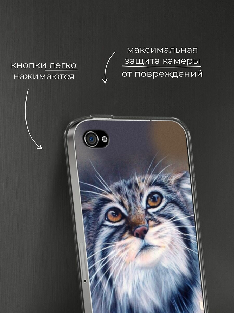 Чехол на Apple iPhone 4/4S / Айфон 4/4S с принтом "Кот манул 2" — фото 1