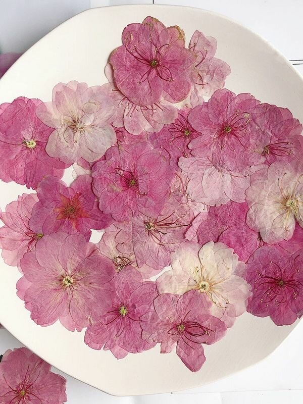 Сухоцветы для ногтей и эпоксидной смолы, 12 шт натуральные засушенные цветы для декора, скрапбукинга и творчества, микс 2 цветов