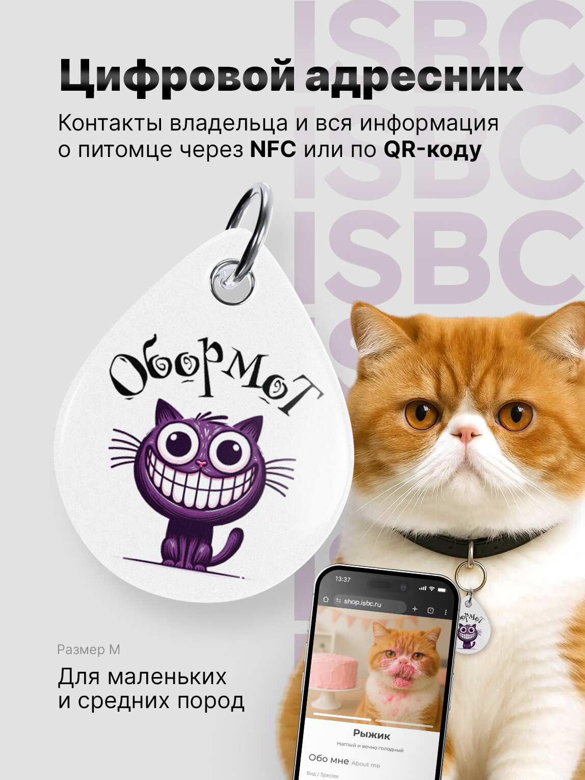 Цифровой Адресник для кошек от ISBC с NFC и QR-кодом, Кот обормот