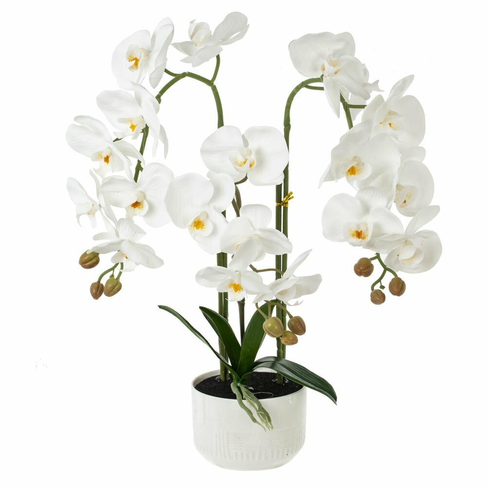 Цветочная композиция Орхидея, 50х36х76 см KSM-818645
