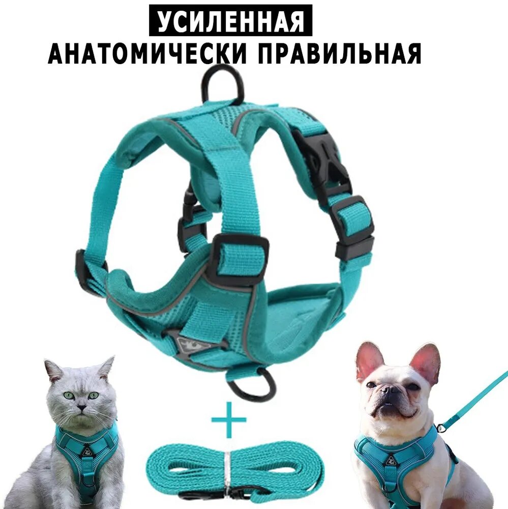 Шлейка — фото 1
