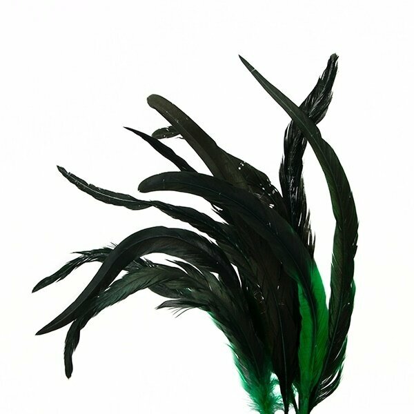 Декоративные перья "Петушиный хвост" черно-зеленые 35 см, 9 шт. в упаковке, для декора