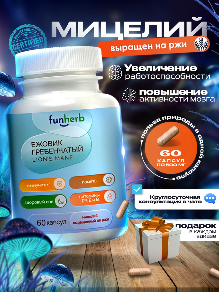 Ежовик гребенчатый гриб для мозга, выращенный на ржи