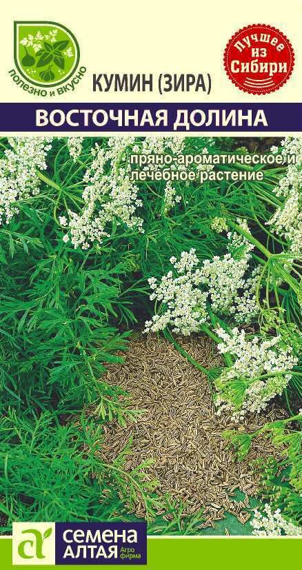 Кумин (зира) Восточная долина 1г Семена Алтая. Для выращивания в домашних условиях: в горшке, на балконе или подоконнике