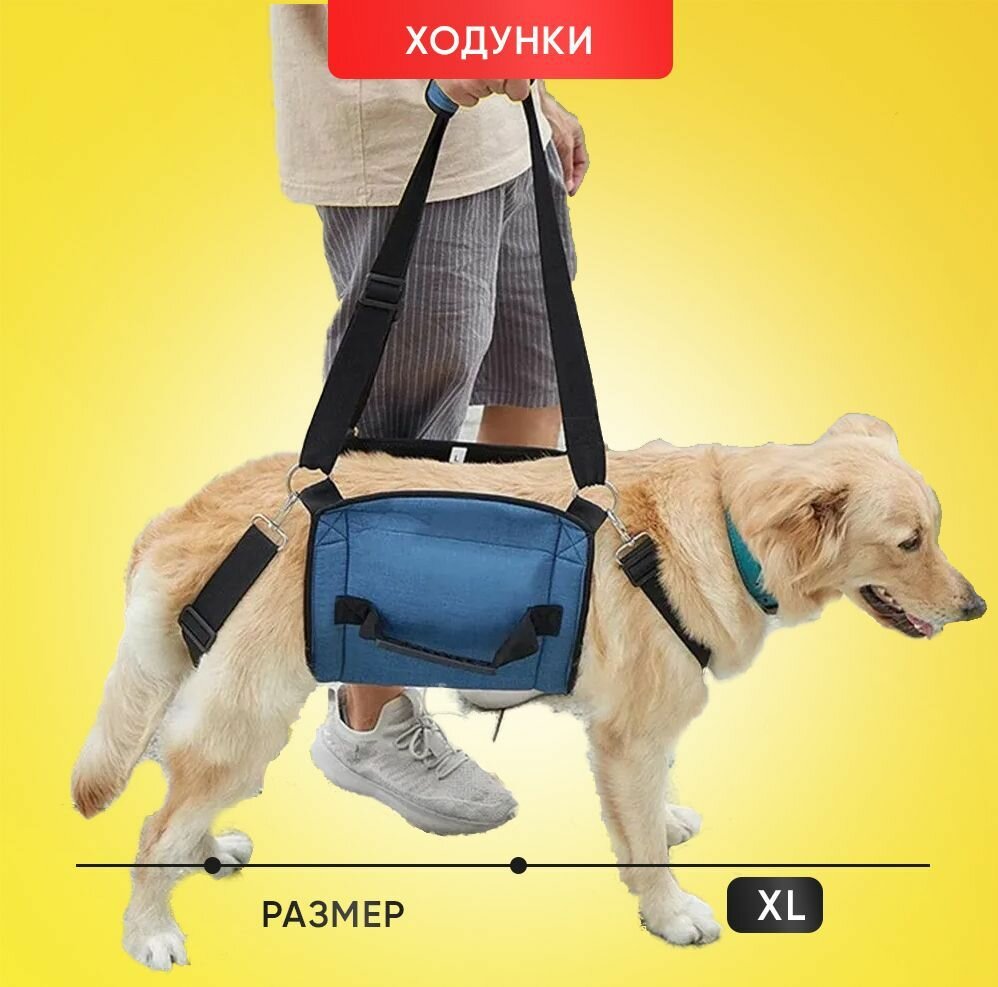 Ходунки, поддержка лап пожилых и травмированных собак. Размер XL