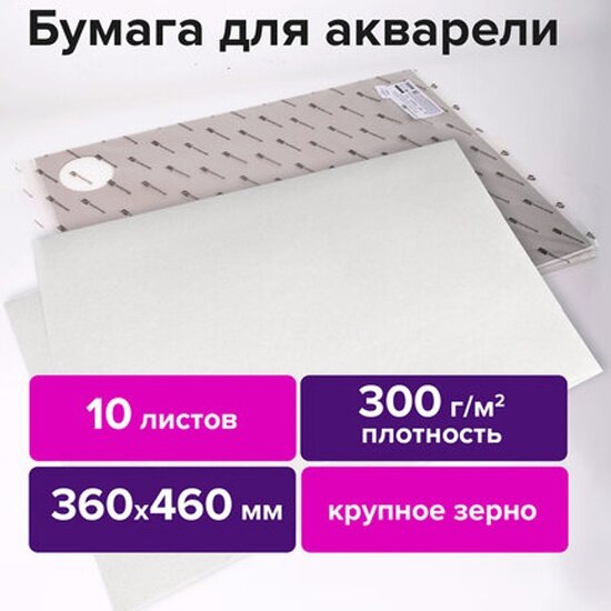 Бумага для акварели Brauberg 300 г/м2 360x460 мм крупное зерно, 10 листов, ART PREMIERE, 113229