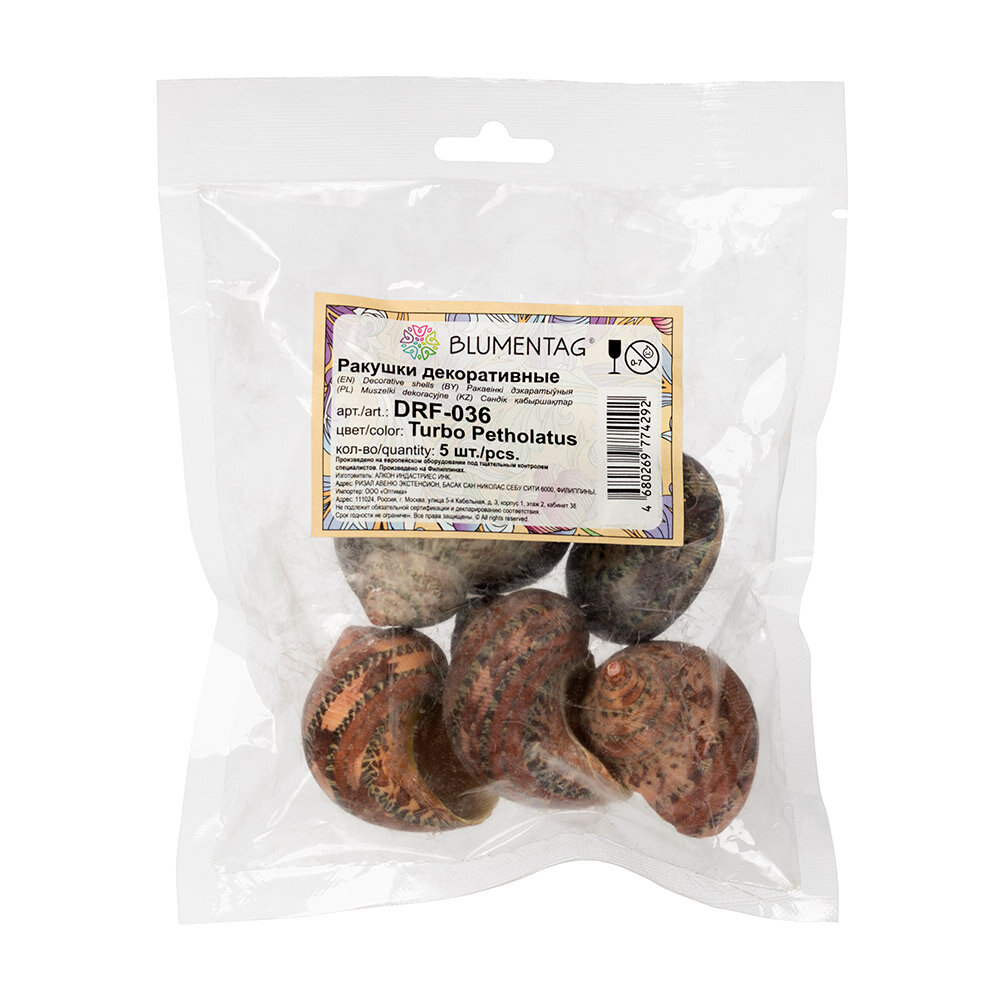 "Blumentag" / "Zlatka" DRF-036 Ракушки морские 5 шт. 3.8 см Turbo Petholatus