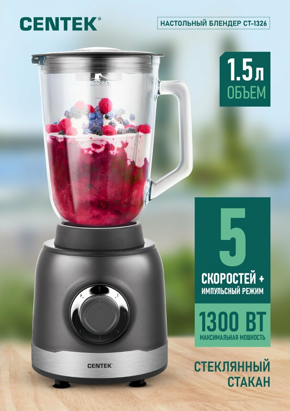 Стационарный блендер CENTEK CT-1326 (черный)