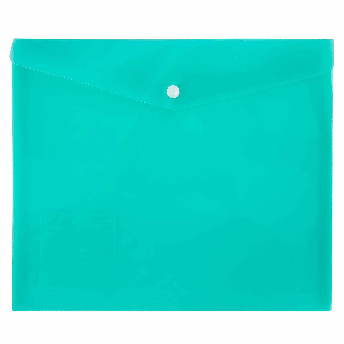 Expert Complete Premier папка-конверт для тетрадей с кнопкой A5+ 180 мкм зелёная 210403