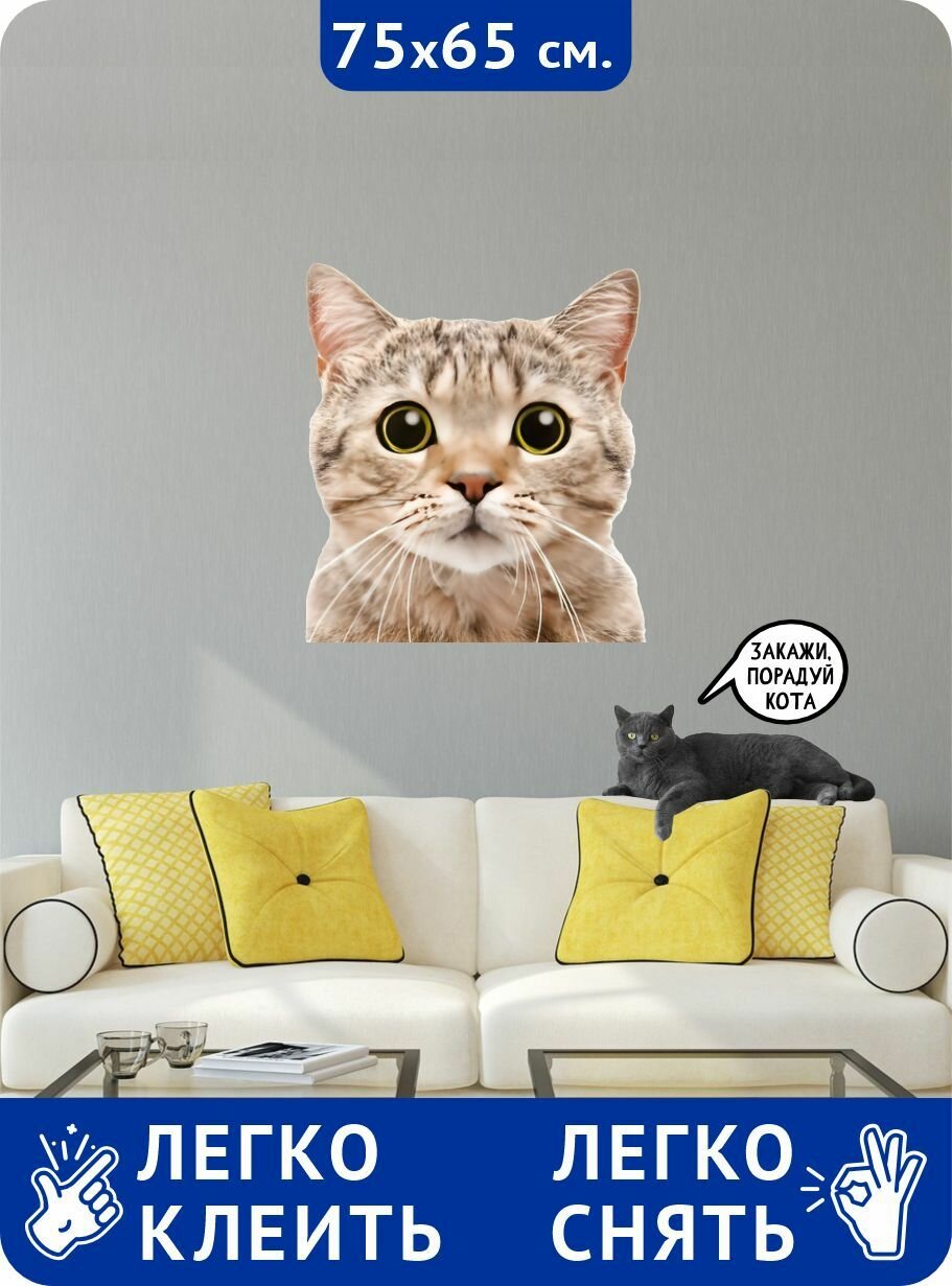 Наклейки на стену для декора - Милые животные, котик