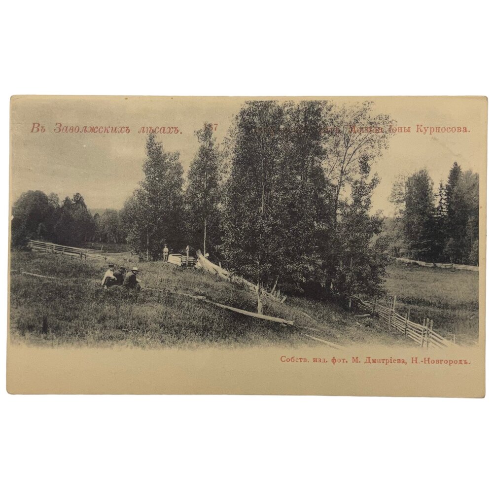 Почтовая открытка "В Заволожских лесах. Могила Ионы Курносова" 1900-1917 гг. Российская Империя
