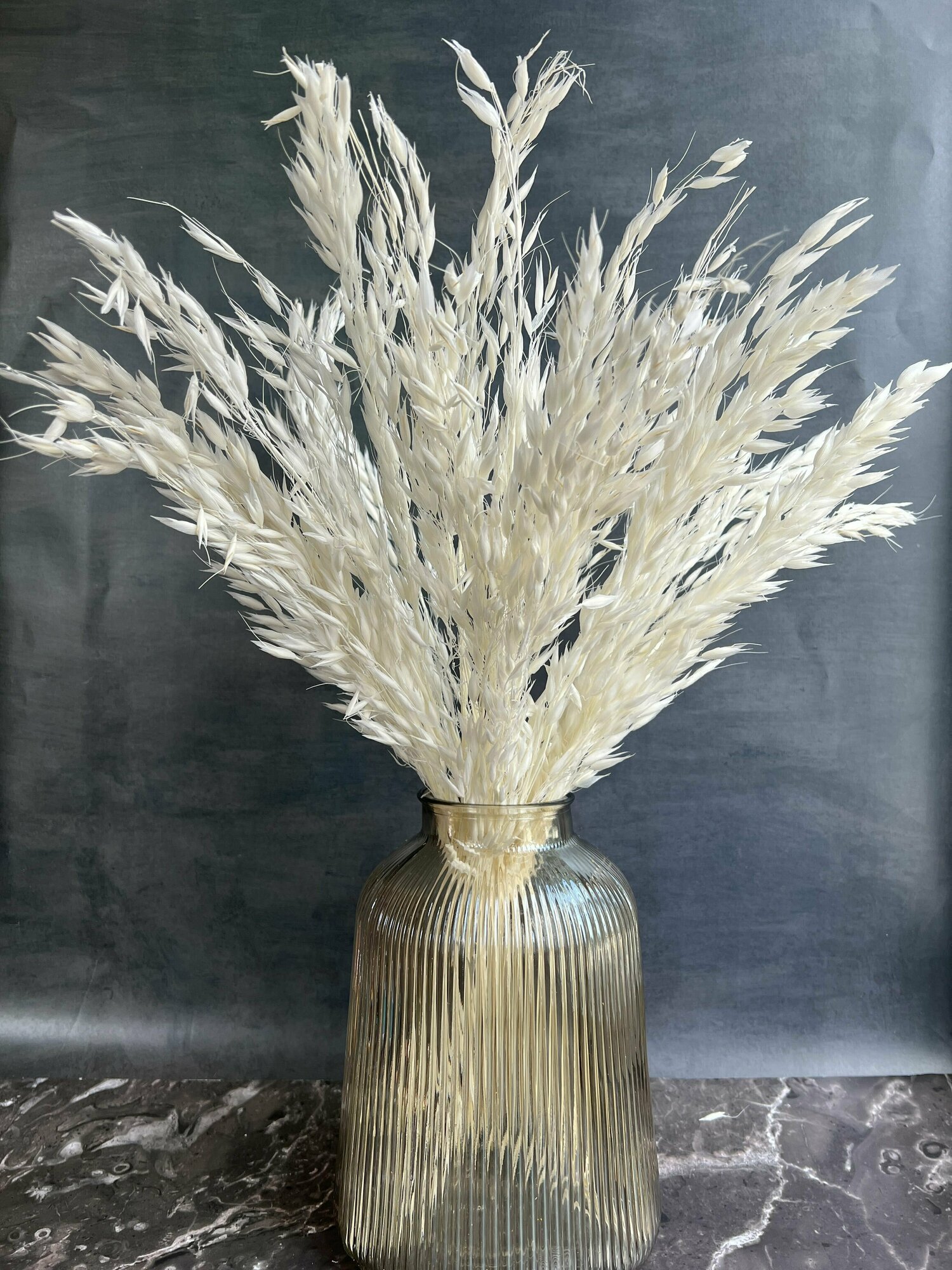 Овес Сухоцвет белый