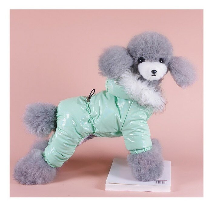 Пижон Комбинезон «Глянец», размер S, ДС 24, ОГ 34, ОШ 24 см, до 5 кг, мятный