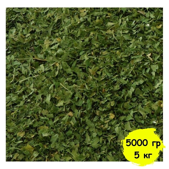 Кинза сушеная резаная (Краснодар), травяной сбор для салатов 5 000 гр, 5 кг
