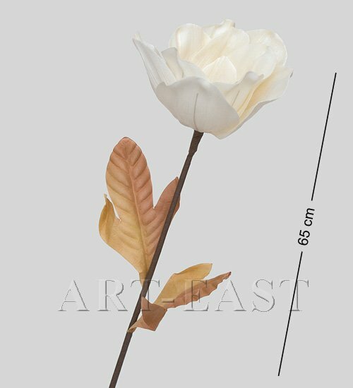 Анемона TR 407 113-50729