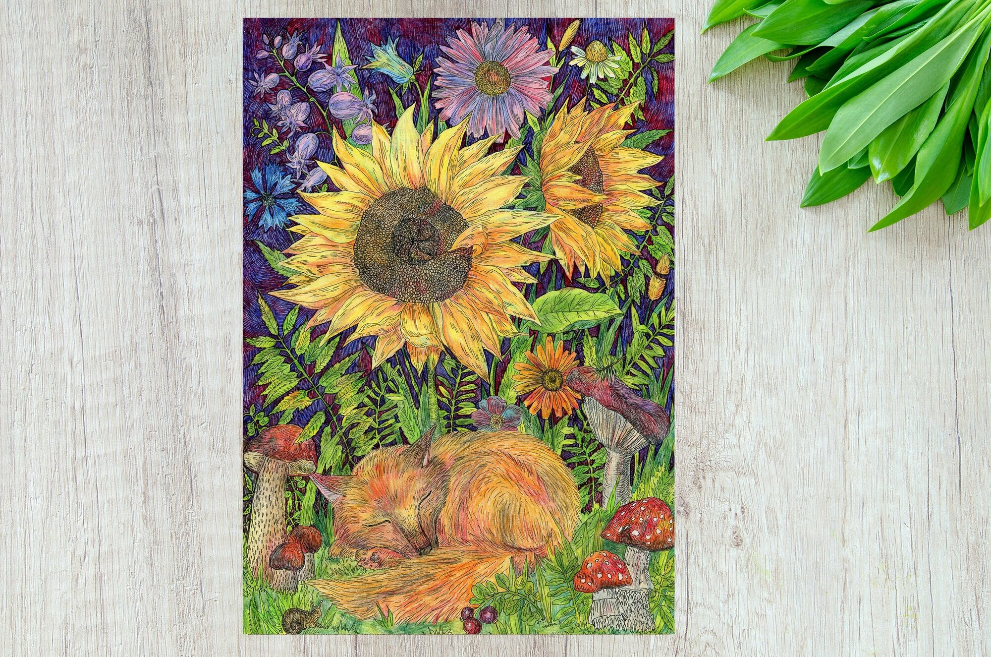 Набор открыток для посткроссинга с животными 6 штук