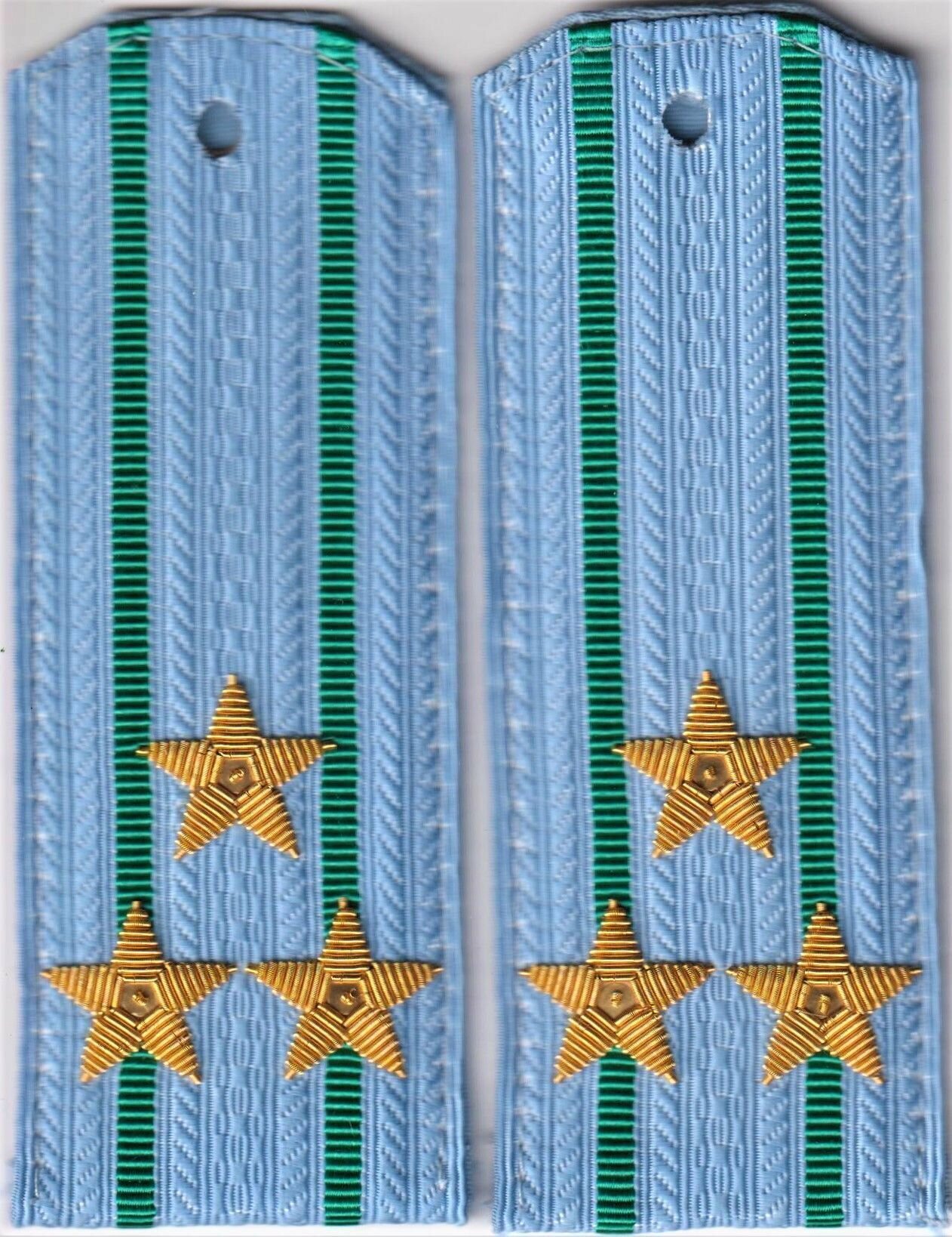 Погоны ПС ФСБ (пограничная служба) на рубашку, полковник