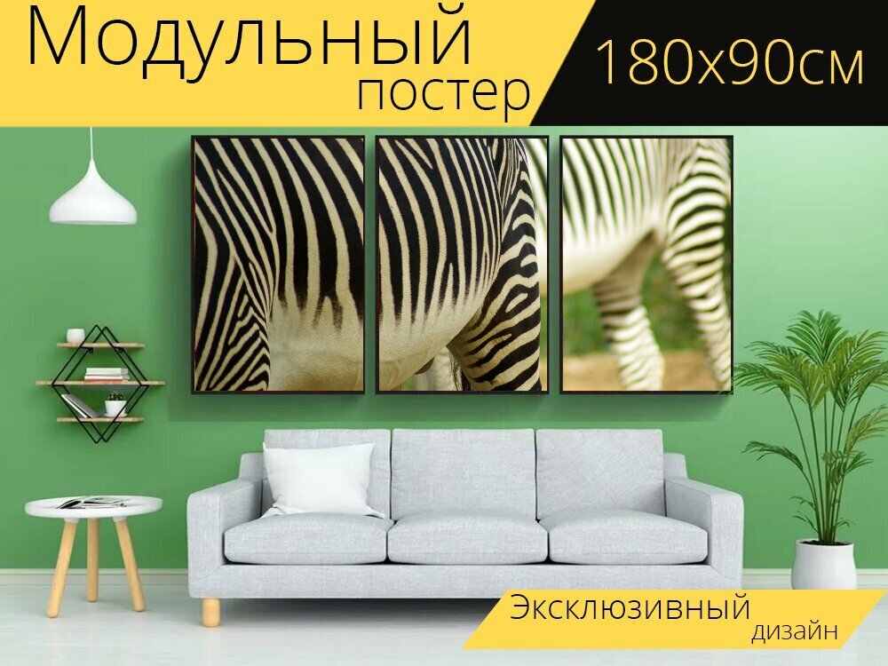 Модульный постер "Зебры, полосы, жвачный" 180 x 90 см. для интерьера