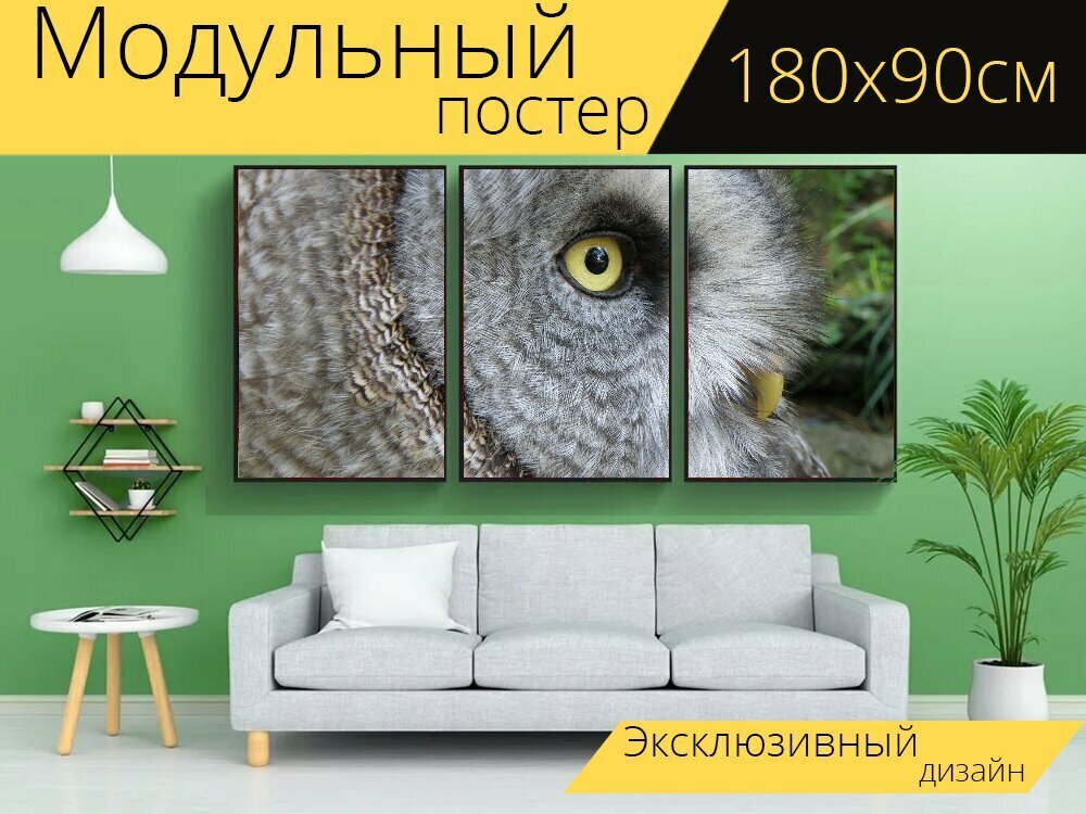 Модульный постер "Сипуха, сова, хищники" 180 x 90 см. для интерьера