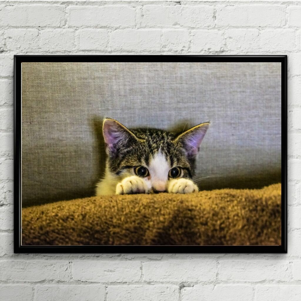Постер "Котенок прячется" Cool Eshe из коллекции "Интерьеры на любой вкус", А3