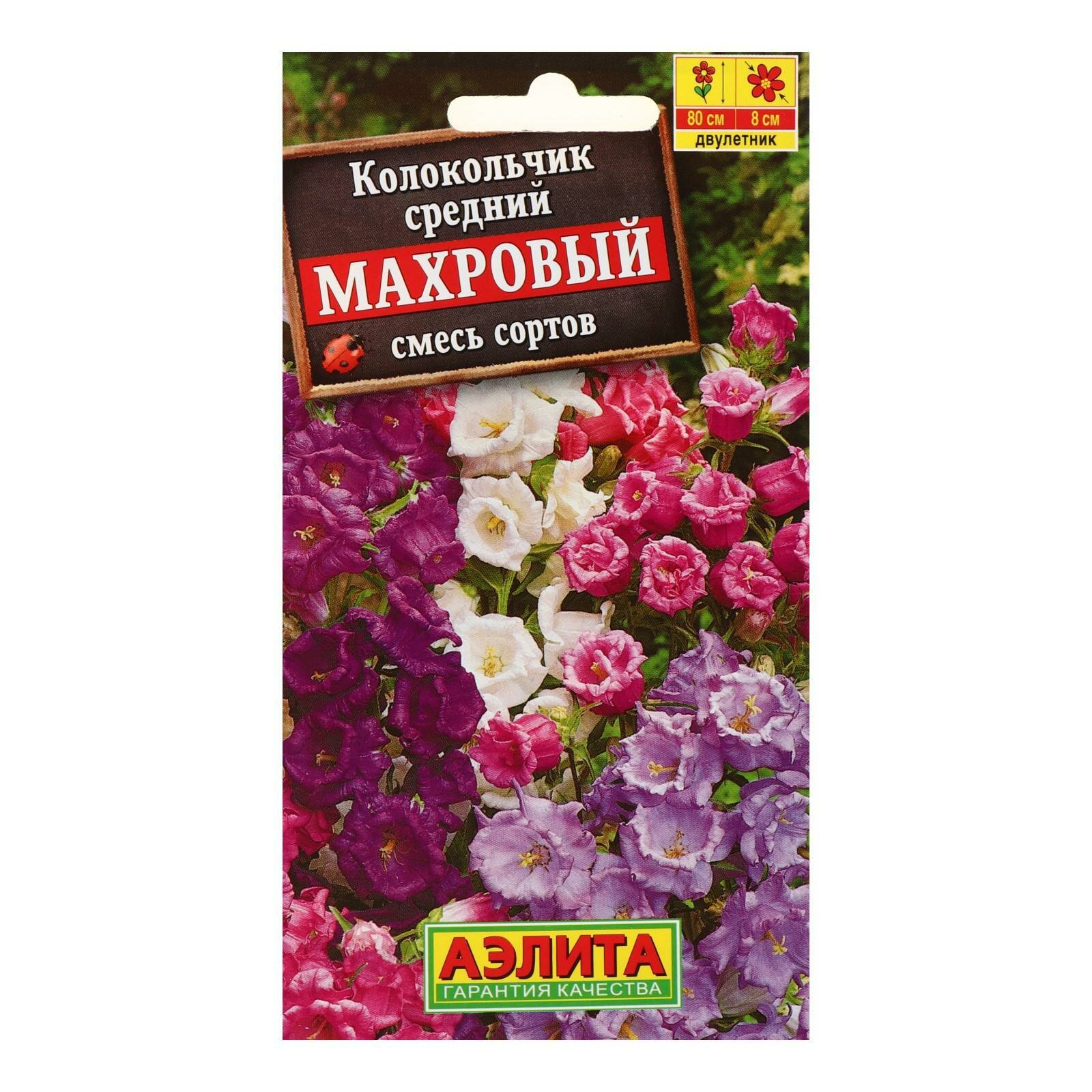 Семена цветов Колокольчик средний Махровый. 5 упаковок