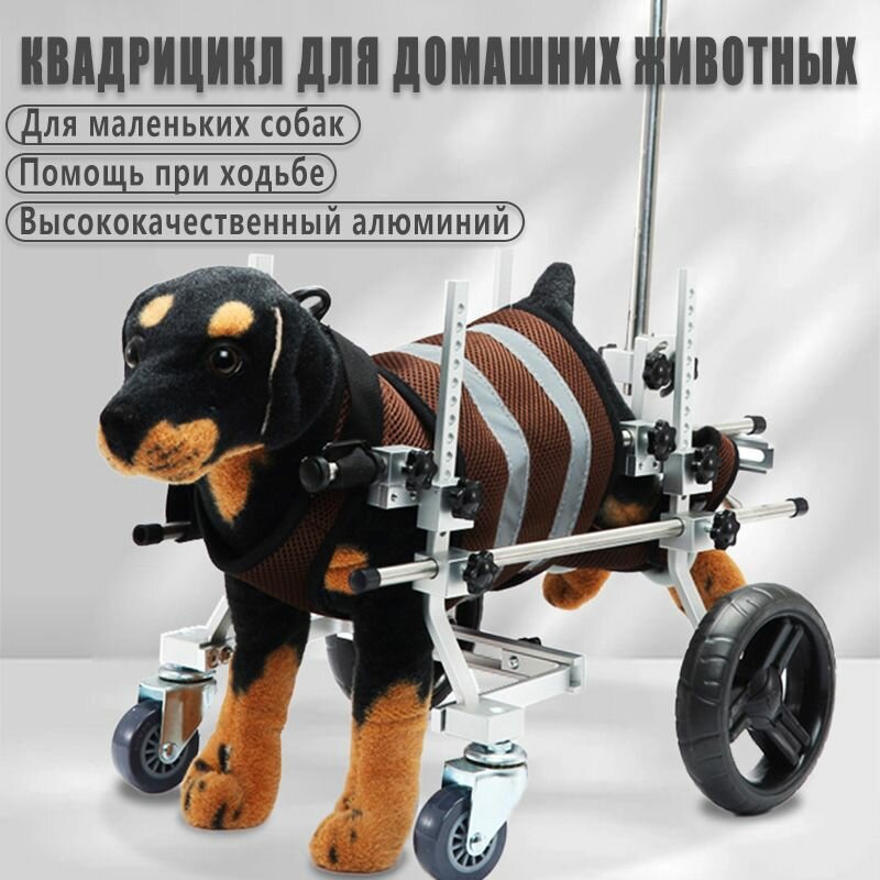 Снаряд для аджилити