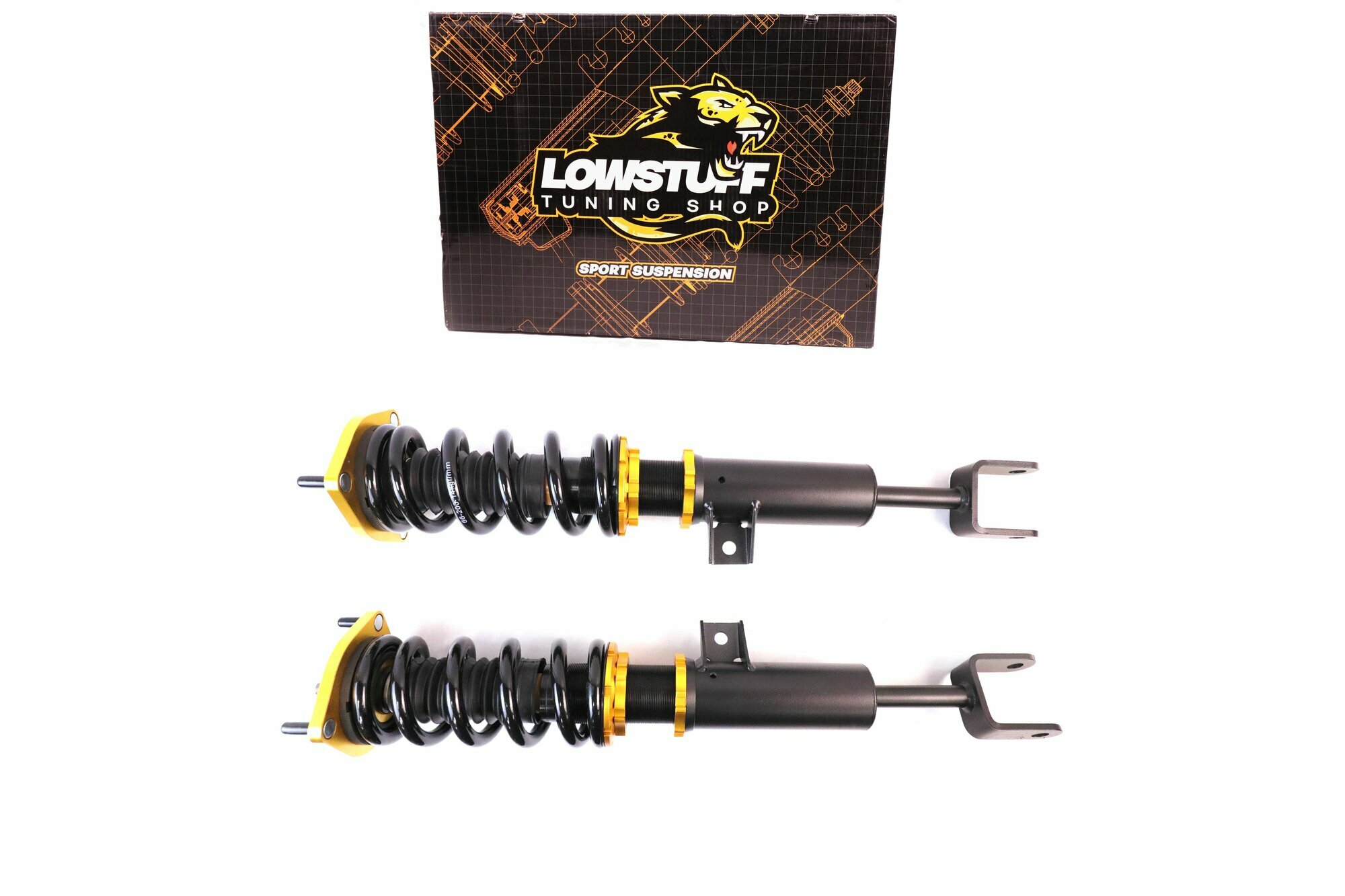 BMW F10 F11 F12 F13 F01 F06 RWD Винтовая подвеска койловеры для передней оси с регулировкой высоты и жесткости EVO-III FRONTLSCSBM133