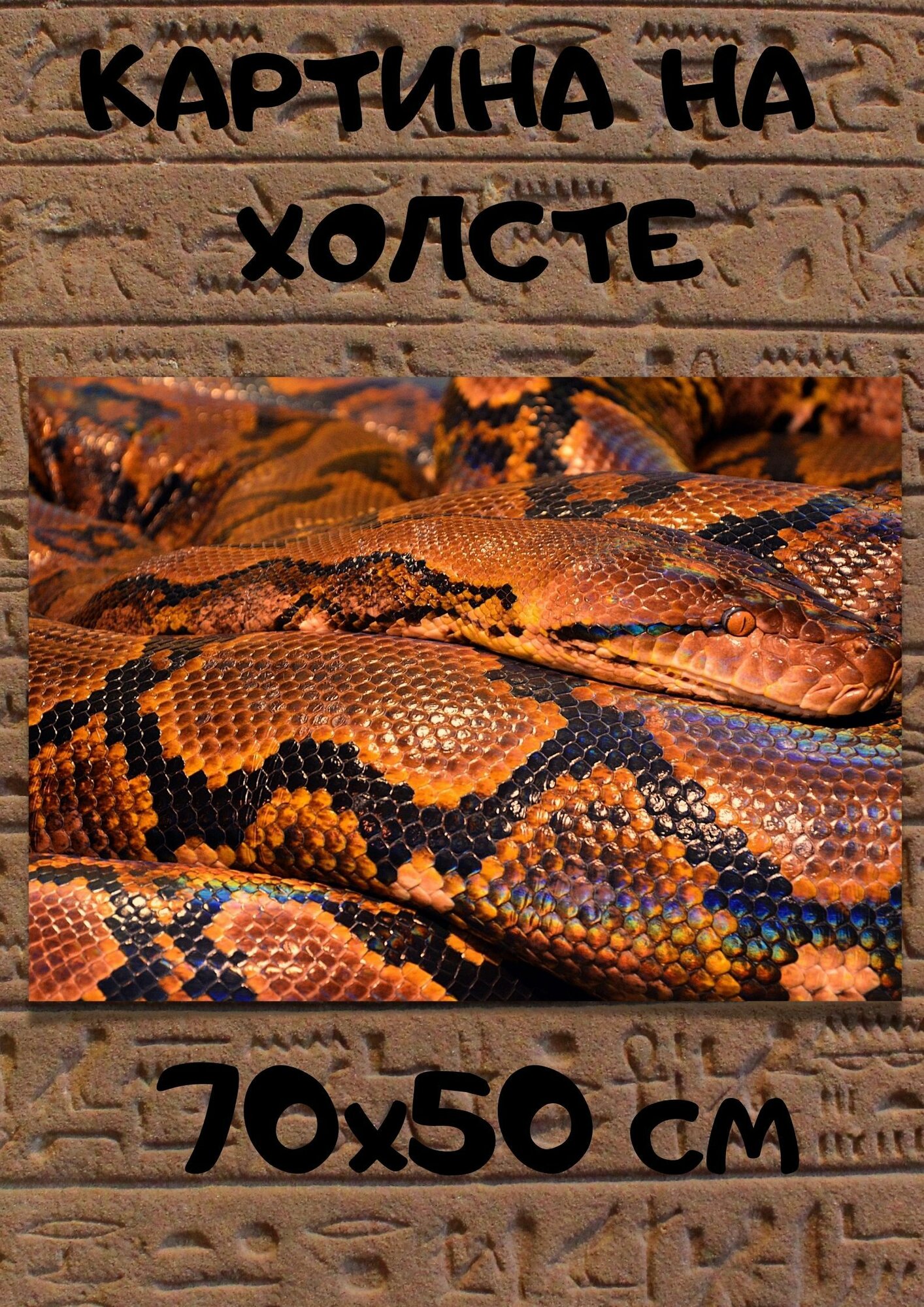 Картина с дикими животными "Кожа питона" 70х50 см