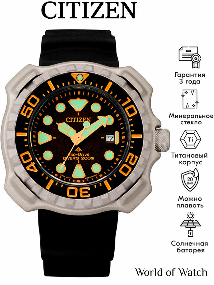 Наручные часы Promaster