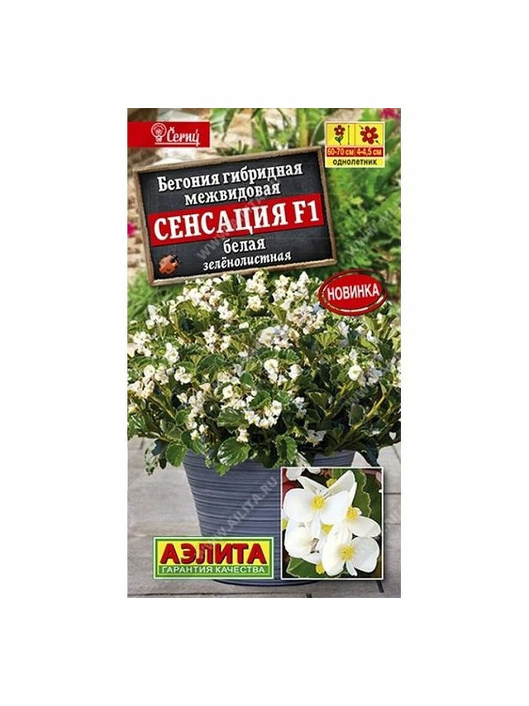 Семена Бегония Сенсация белая, зеленолистная F1, однолетник, Аэлита, 1 пачка - 7 семян