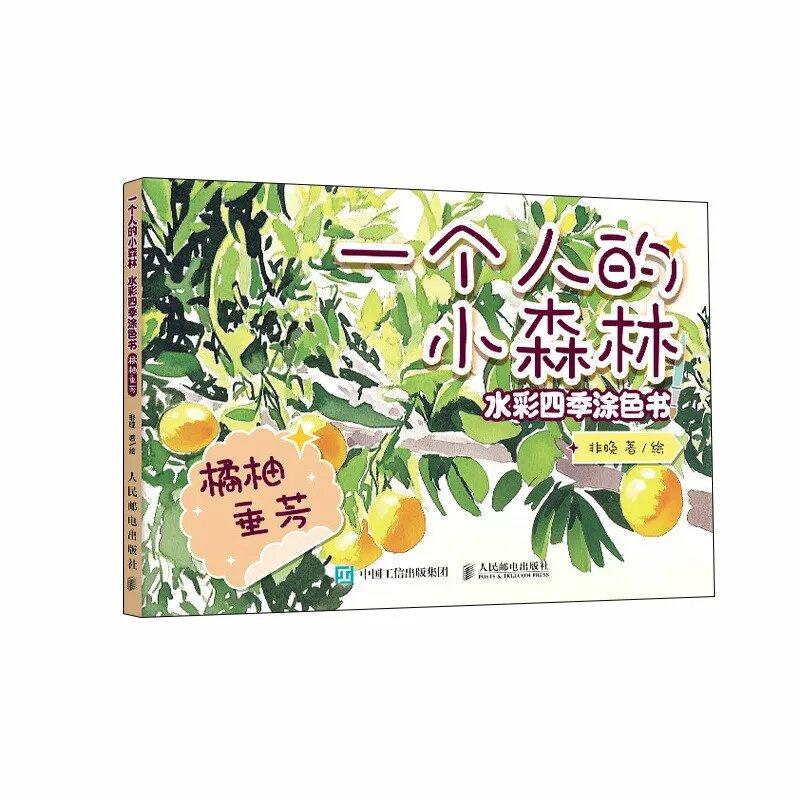 Книжка-раскраска для взрослых nbyinto A